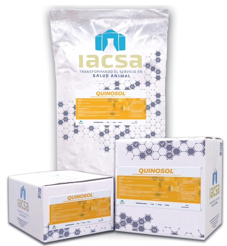 QUINOSOL - iacsanet